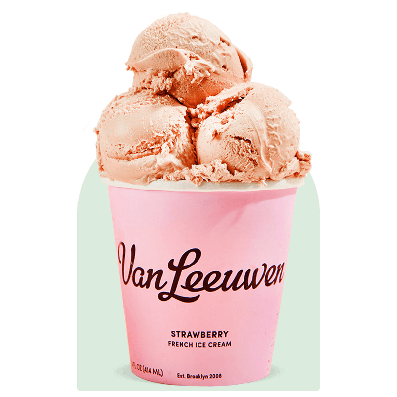 OG Flavors - Van Leeuwen Ice Cream