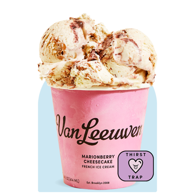 Marionberry Cheesecake - Van Leeuwen Ice Cream